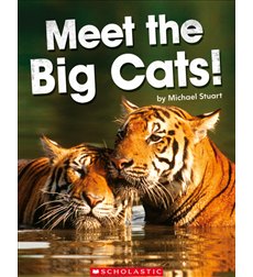 Meet the Big Cats Printables, Classroom Activities, Teacher Resources ...