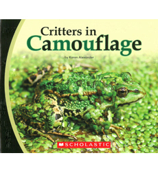 The Slug (Disgusting Critters) Printables, Classroom Activities ...
