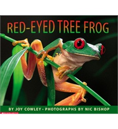 Red-Eyed Tree Frog Printables, Classroom Activities, Teacher Resources ...