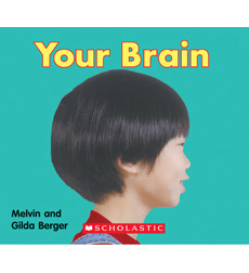 Your Brain (Scholastic Time-to-Discover Reader) | RIF.org