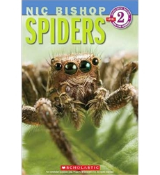 Spiders (Scholastic Reader Level 2) | RIF.org