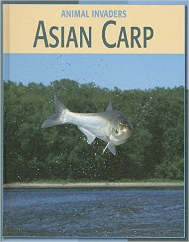Asian Carp | RIF.org