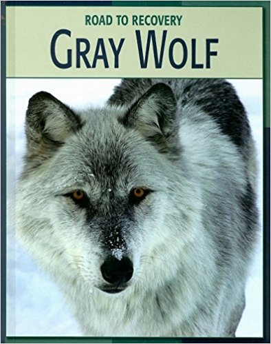 Gray Wolf | RIF.org