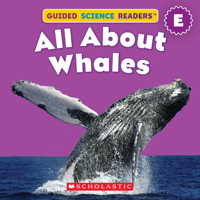 The Truth About My Unbelievable Summer... | RIF.org