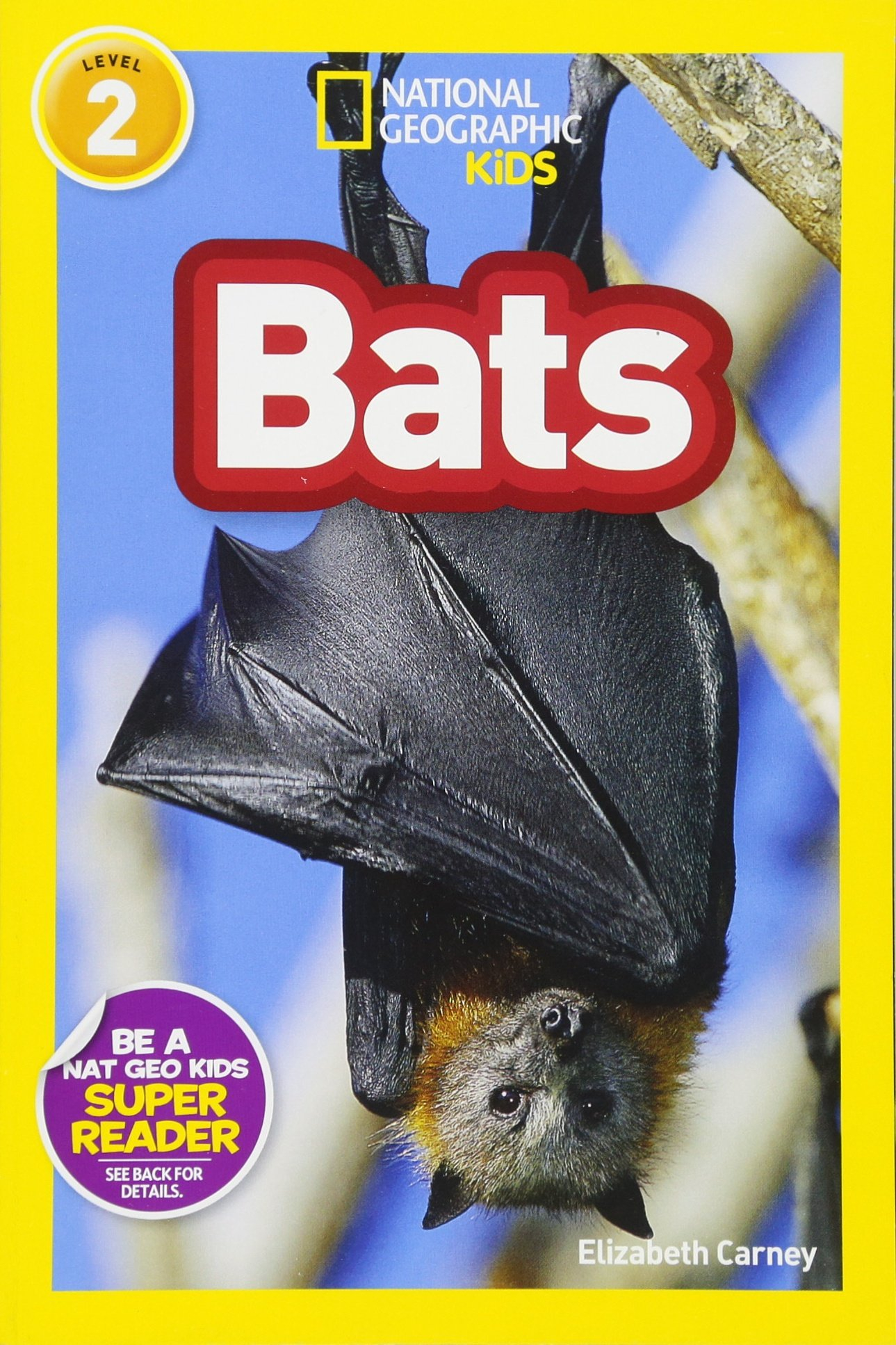 Bats (National Geographic Kids) | RIF.org