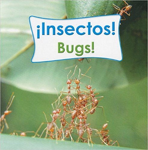 ¡Insectos!/Bugs! (Spanish and English Edition) | RIF.org