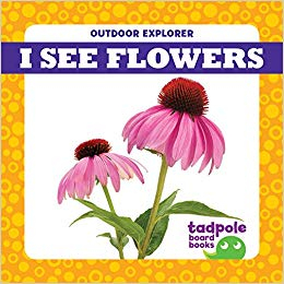 A Tree Is A Plant | RIF.org